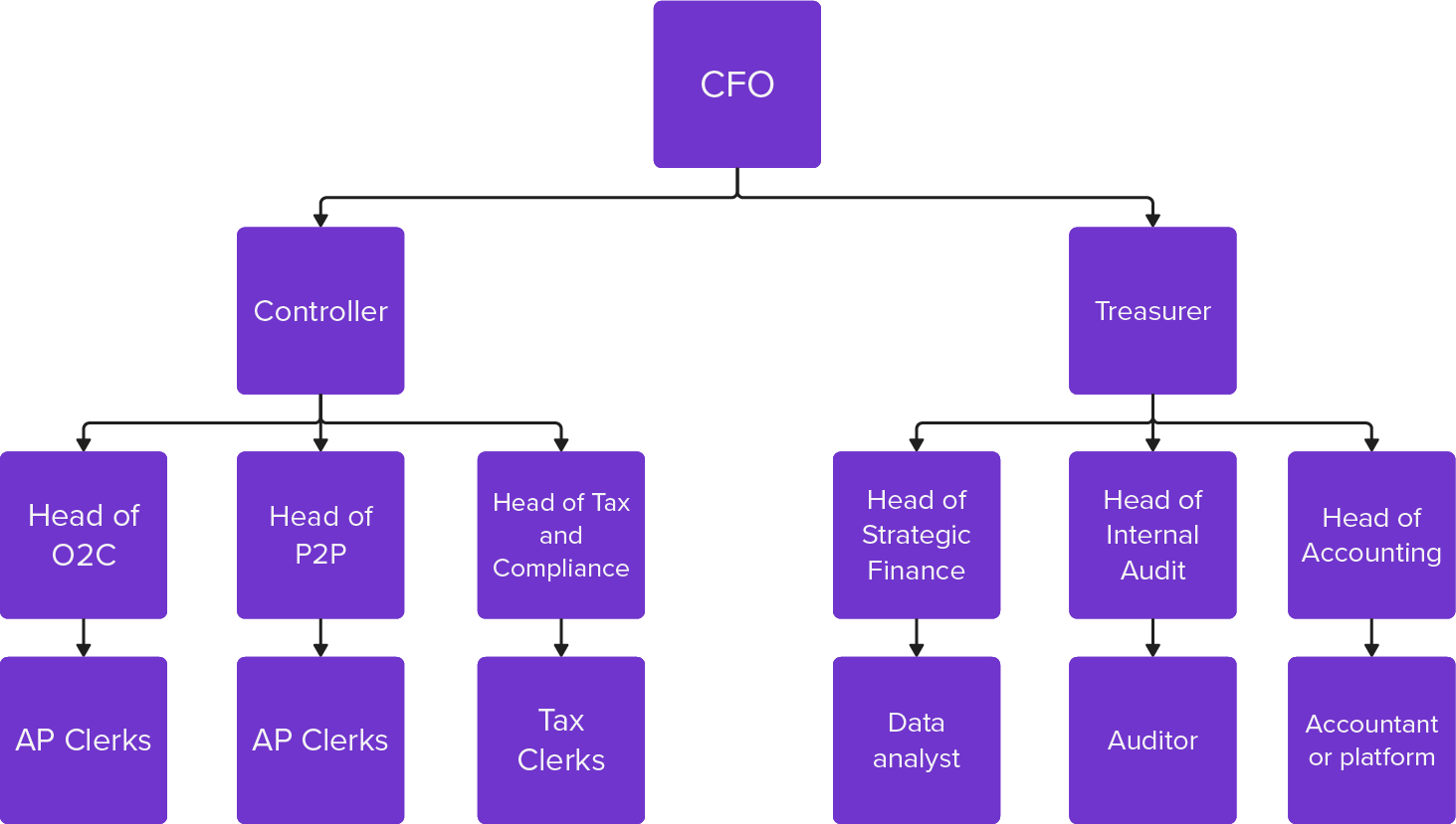 How To Structure Your Finance Department With Examples