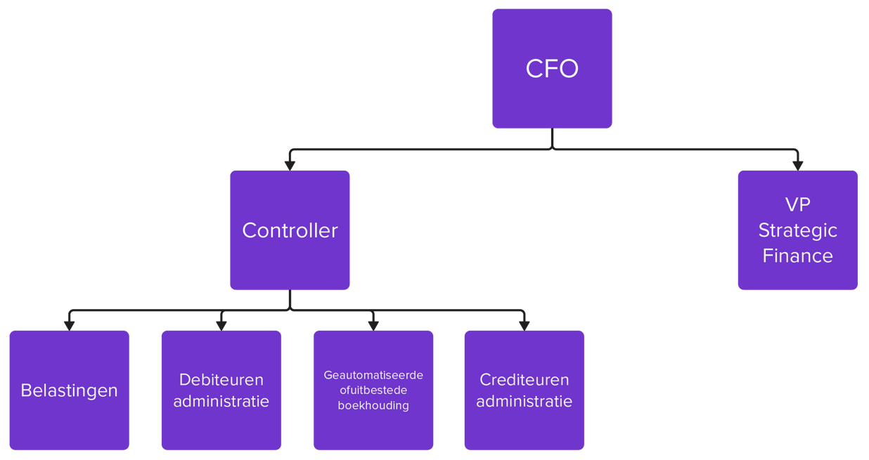 Hoe een financiële afdeling structureren (met voorbeelden)